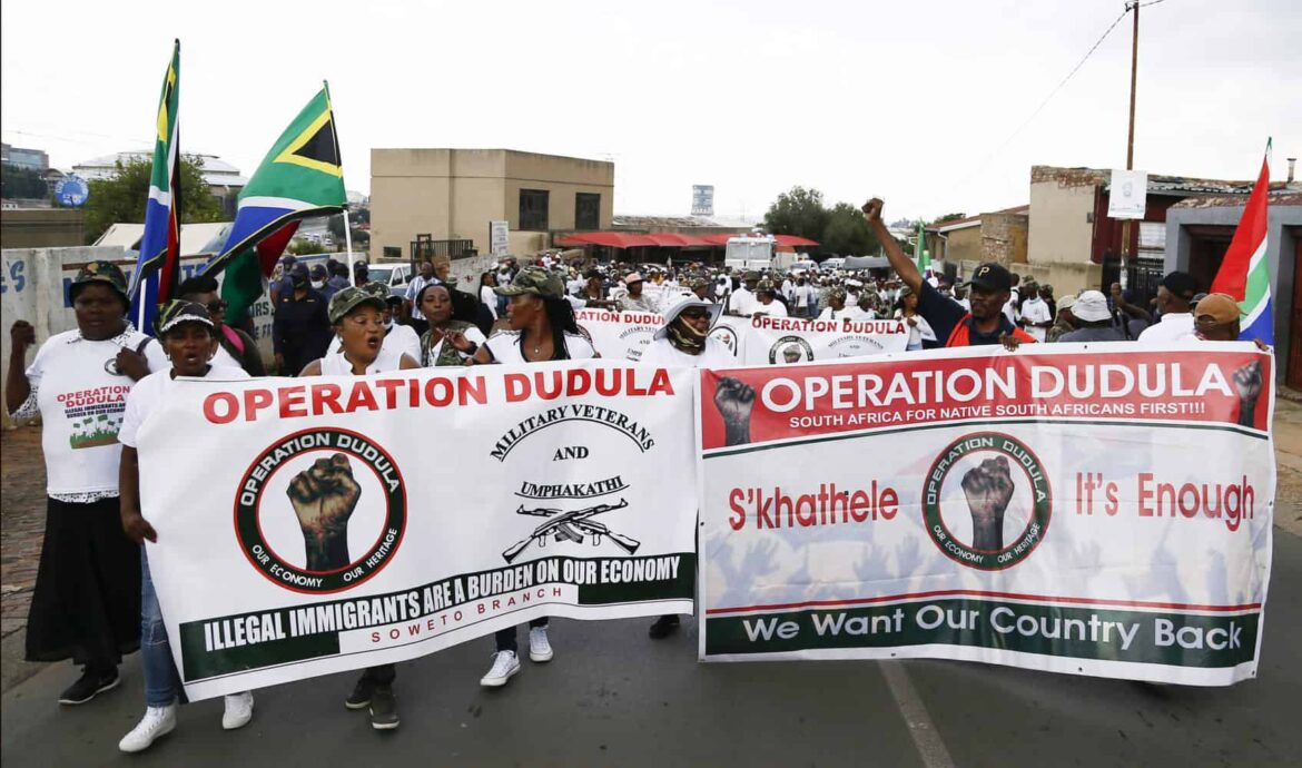 Migrant groups concerned as Operation Dudula becomes a political party ...